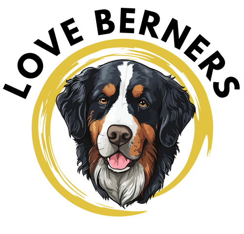 Mini Bernese Mountain Dog Puppies - Love Berners